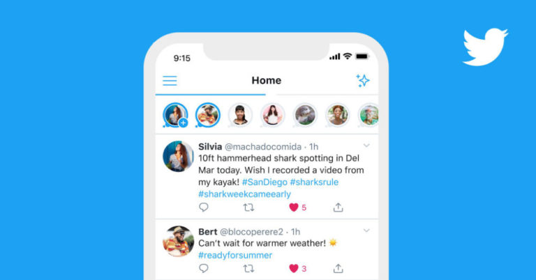 Twitter: Eigenes Story-Format namens Fleets geplant